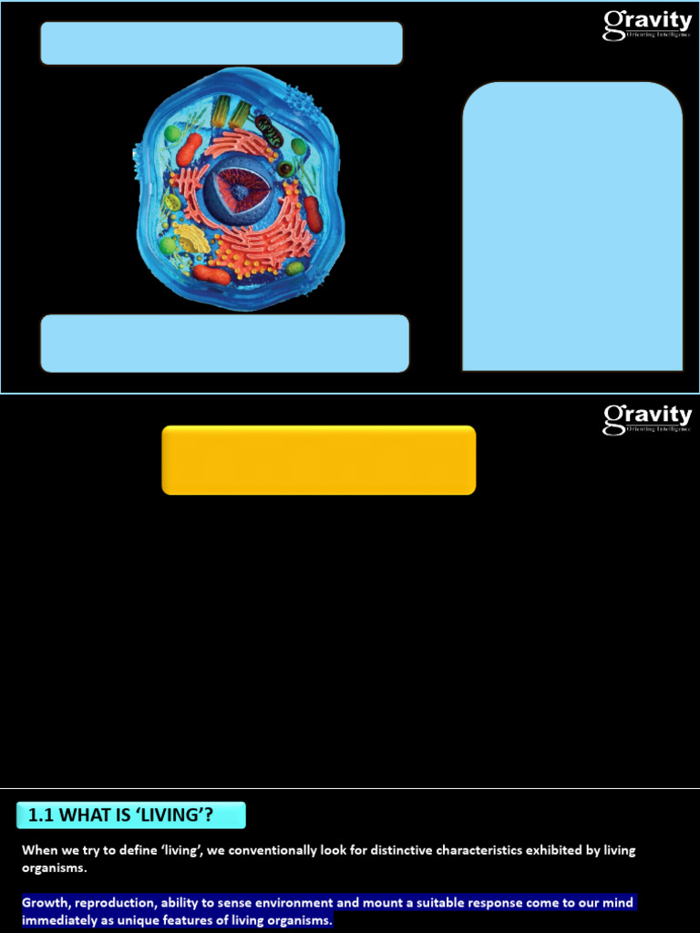 Living World Neet PPT Final 8.12.23 | PDF | Taxonomy (Biology) | Taxon