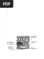 Form 2 Combined Science Notes | PDF | Digestion | Flowers