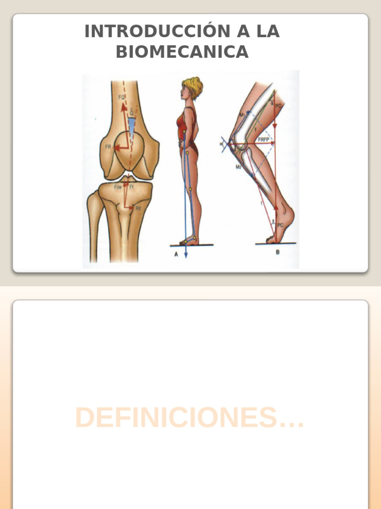 INTRODUCCION Biomecánica Locomotor. 2025. Pptx | PDF | Fuerza | Músculo