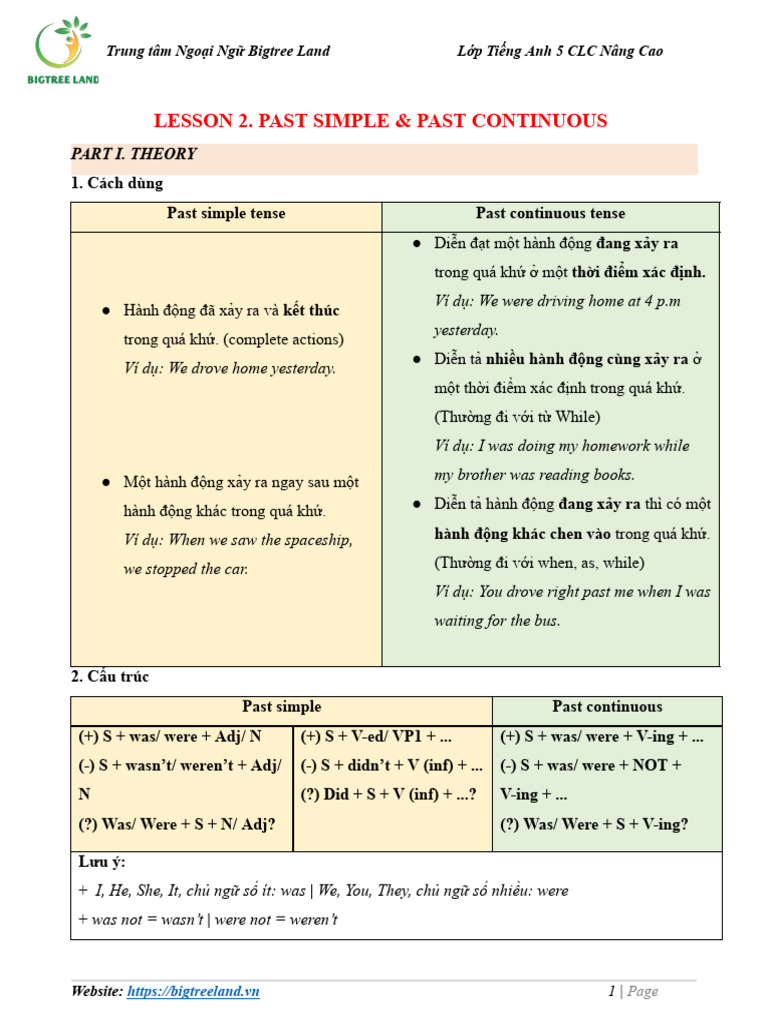 Past Simple vs. Past Continuous Guide | PDF