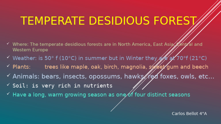 Temperate Desidious Forest | PDF