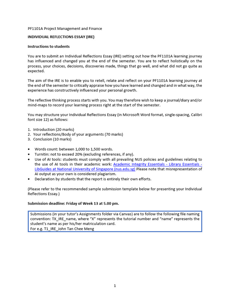 Individual Reflections Essay (IRE) | PDF
