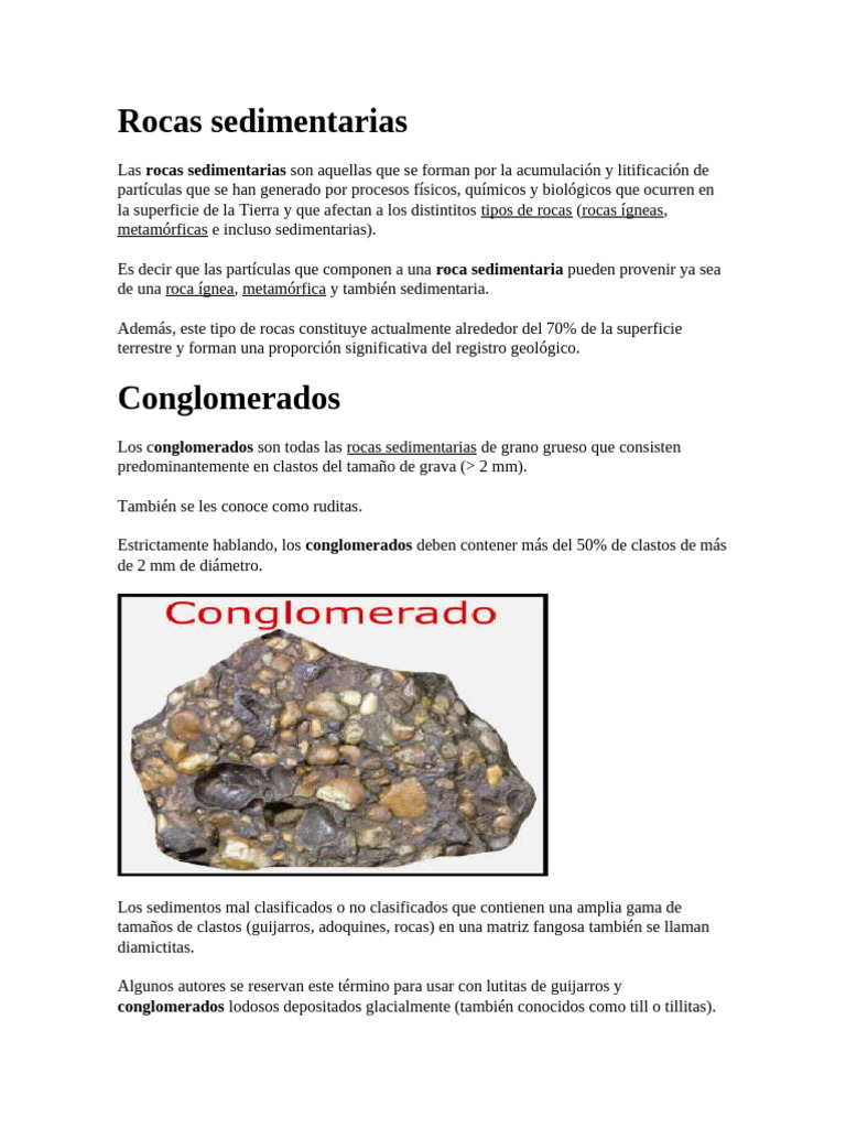 Rocas sedimentarias libro para la materia de geologia | PDF | Roca ...