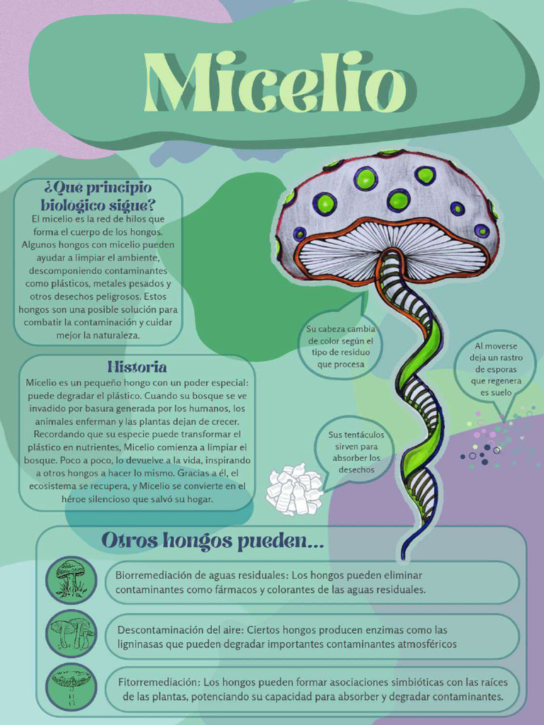 G2 220201501 A2 E1 | PDF