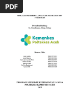 Pemeriksaan Reflek Patologis | PDF
