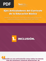 Eje Articulador Inclusión | PDF | Inclusión (Educación) | Desigualdad ...