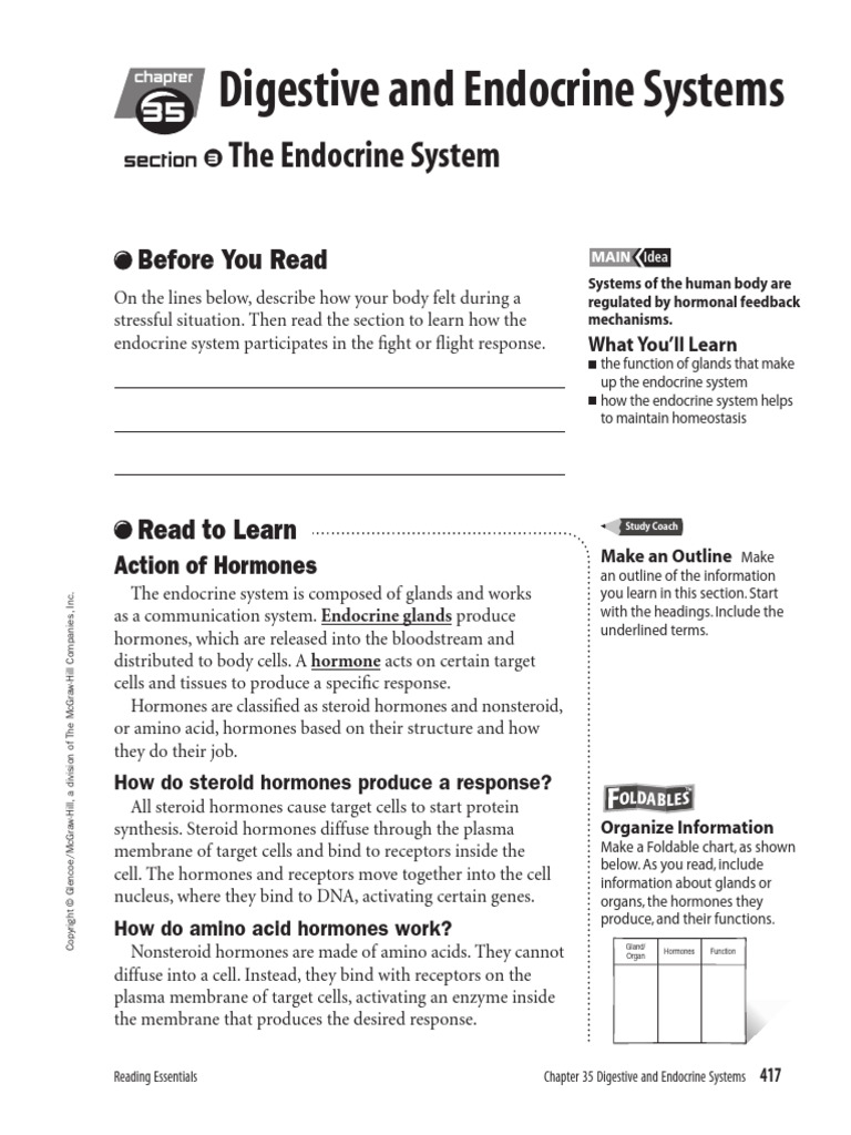 Chapter 35 Section 1 Reading Essentials | PDF | Hormone | Endocrine System