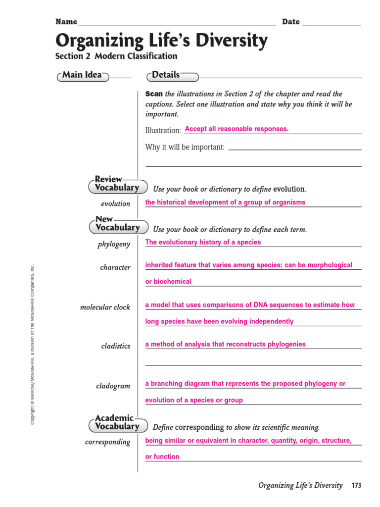 Chapter 17 Section 2 Notebook | PDF | Species | Evolution