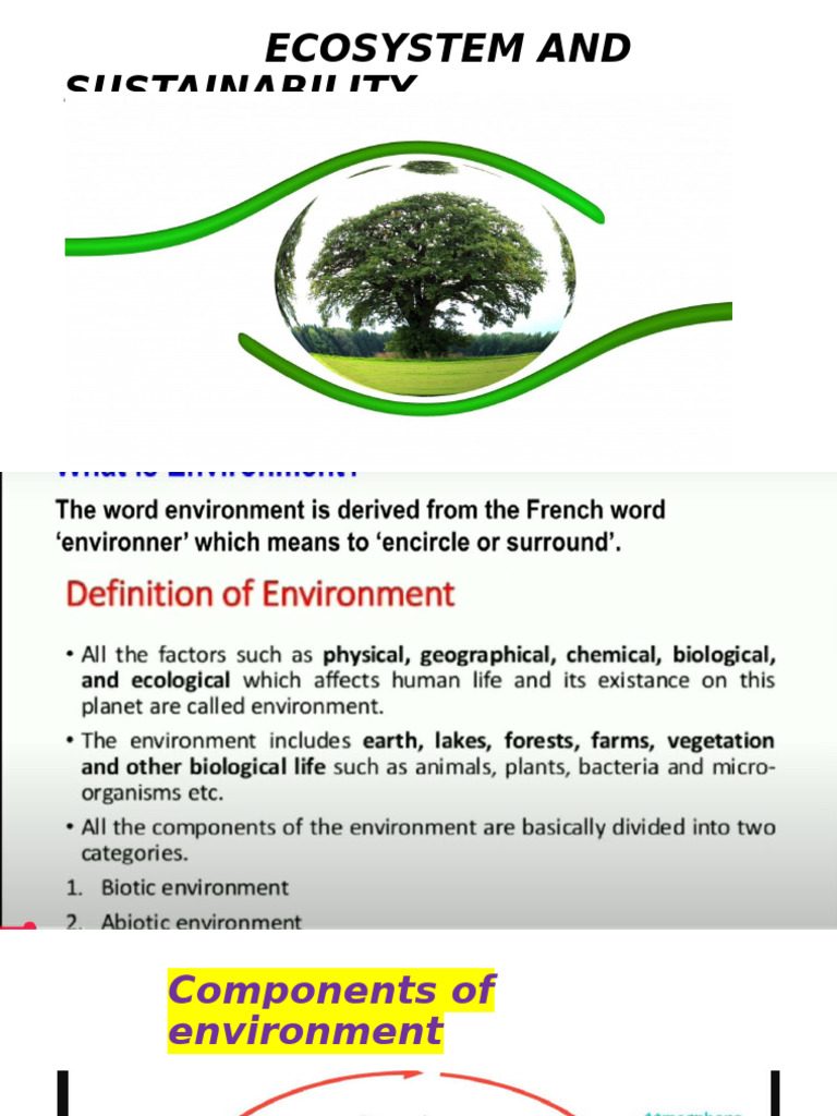 Presentation1 [Autosaved] | PDF