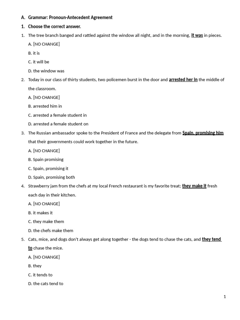 Pronoun-Antecedent Agreement Exercises | PDF | Rock Climbing