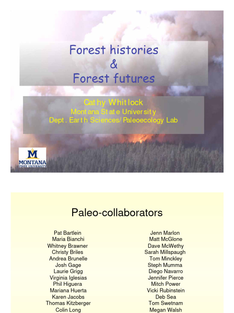 Forest History and Climate Change Insights | PDF