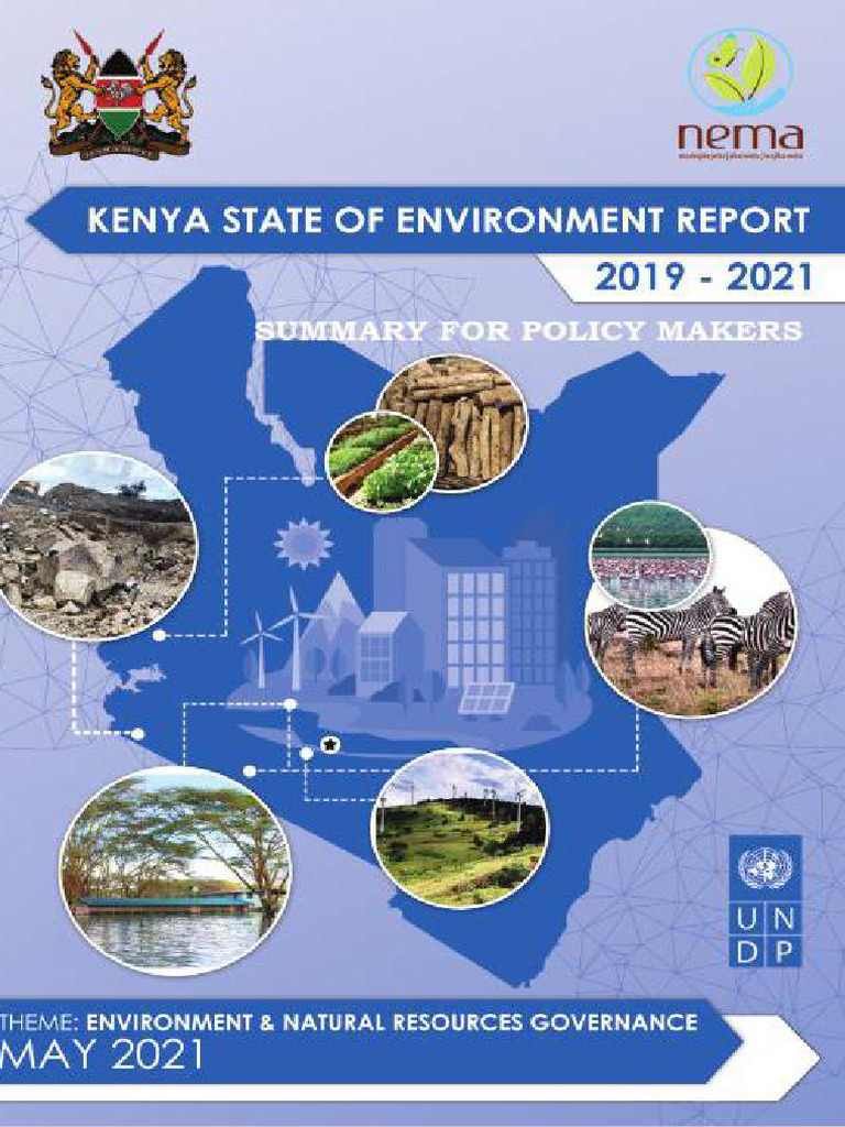 Soe 2019-2021 Summary For Policy Makers - 1 | PDF | Governance | Wind Power