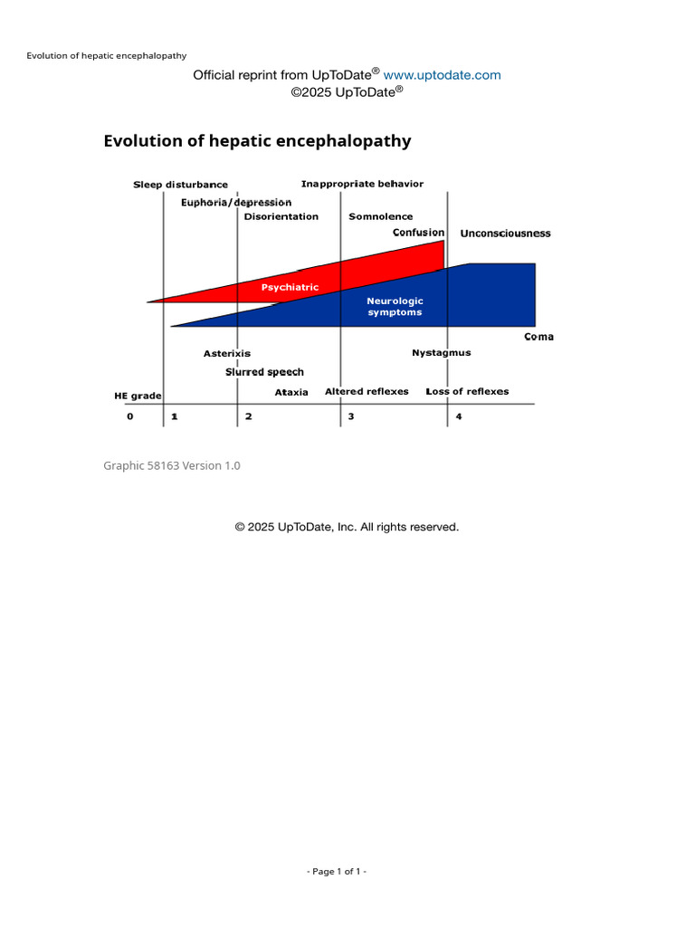 Evolution of Hepatic Encephalopathy | PDF