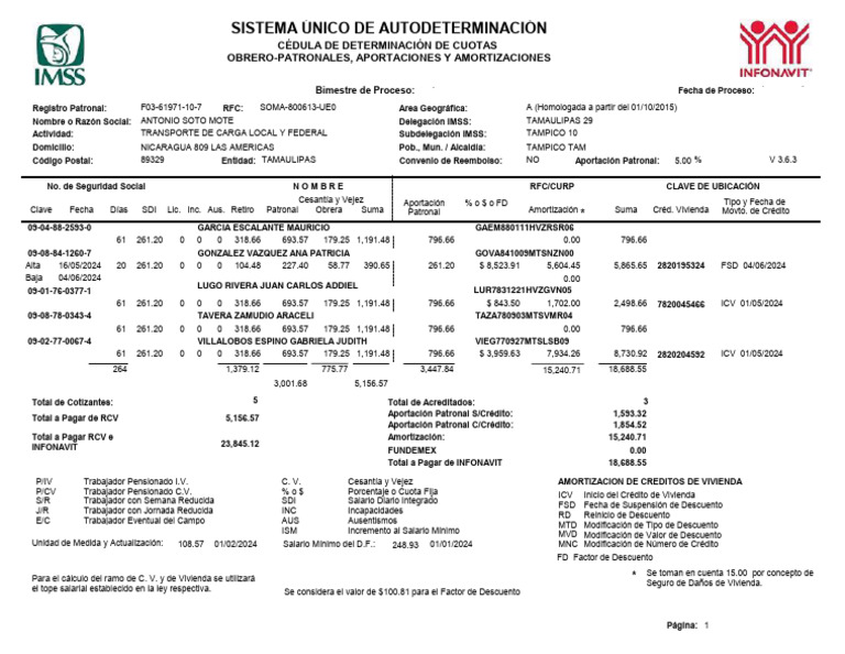 Cédula de Determinación de Cuotas IMSS | PDF | Finanzas personales | Labor