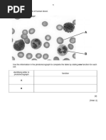 New Doc 01-18-2024 17.16 | PDF