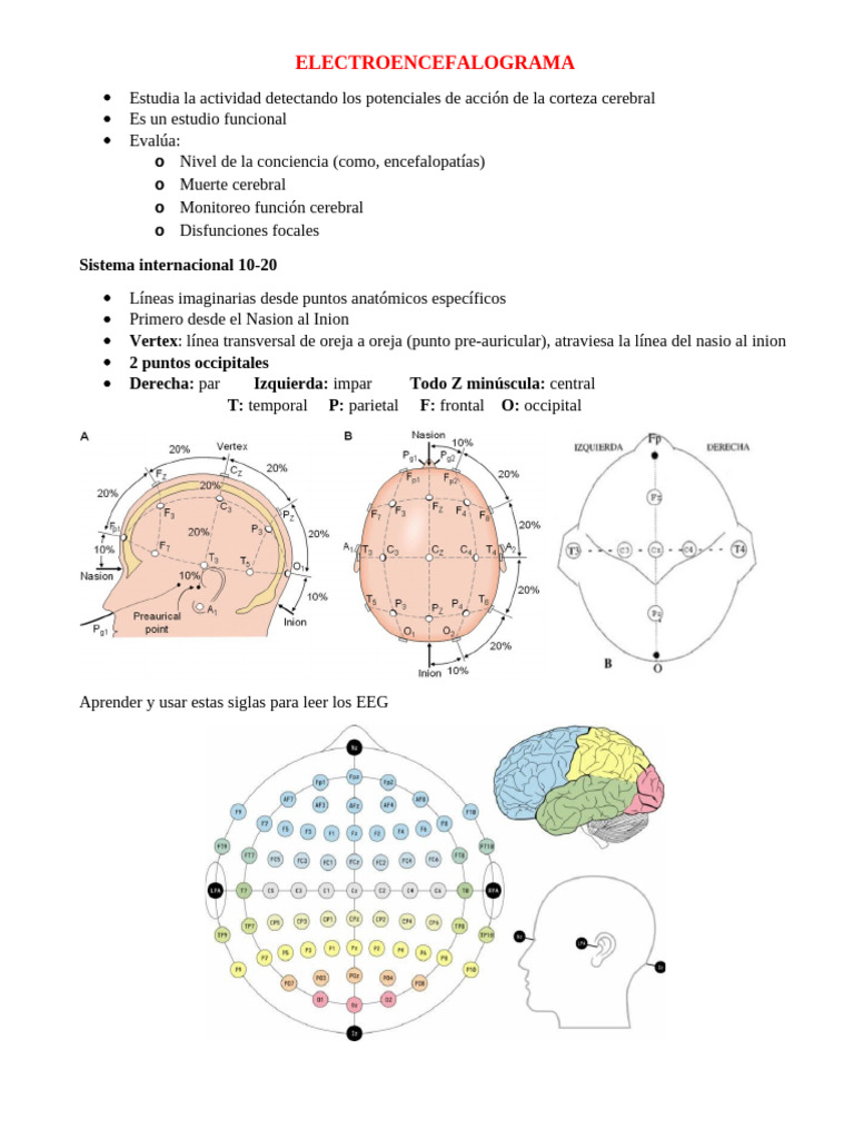 Electroencefalograma: Evaluación y Montaje | PDF
