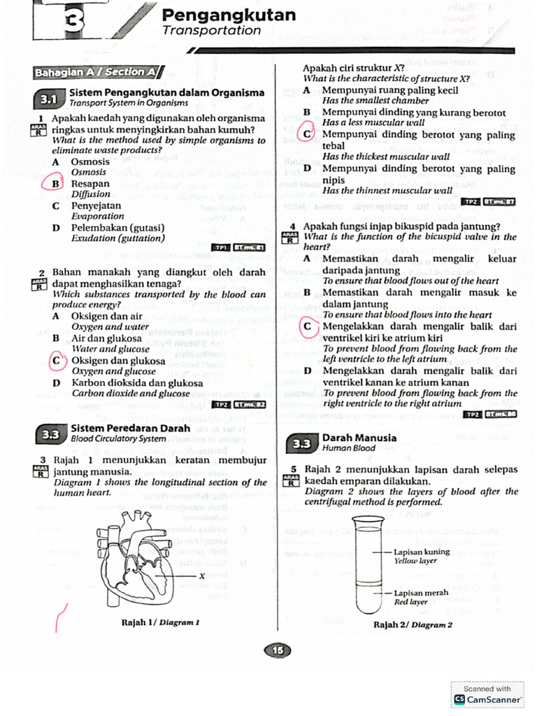 Form 3 C3 - PIB | PDF