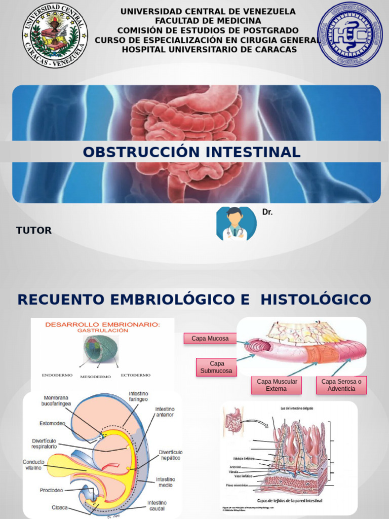 Obstrucción Intestinal: Clasificación y Tratamiento | PDF | Intestino ...
