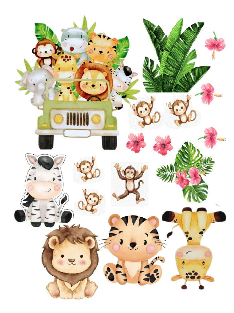 Safari v1 | PDF