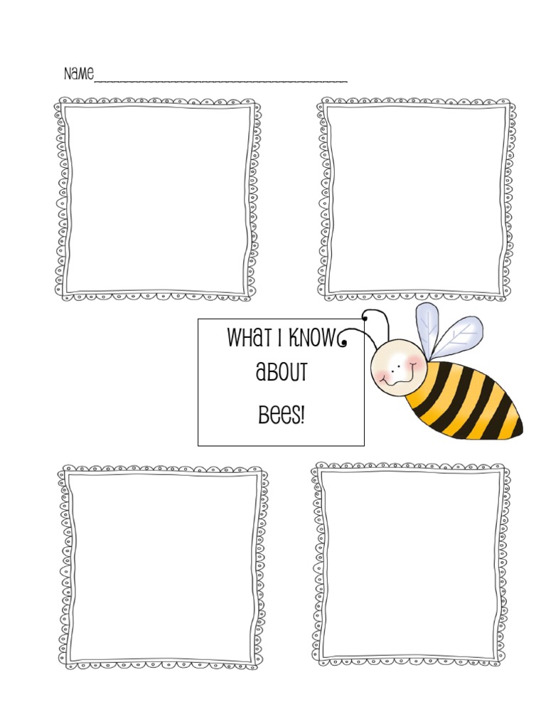 Eric Carle Bee Graphic Organizer | PDF