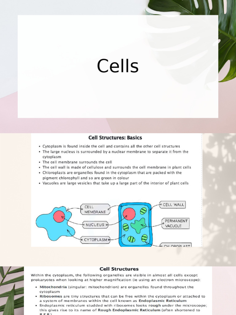 Cell Structure | PDF