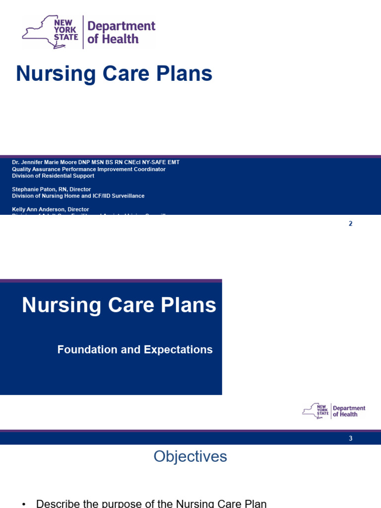 Nursing Care Plans: Guidelines & Best Practices | PDF | Nursing ...