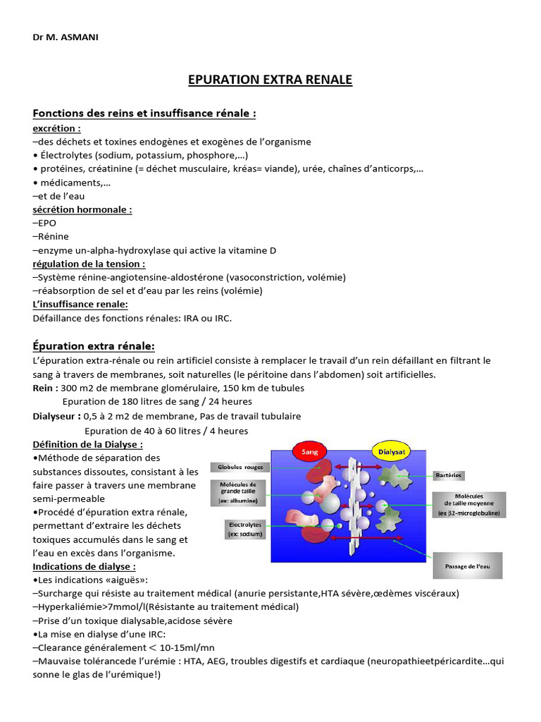 Épuration Extra-Rénale et Dialyse | PDF | Rein | Insuffisance rénale ...