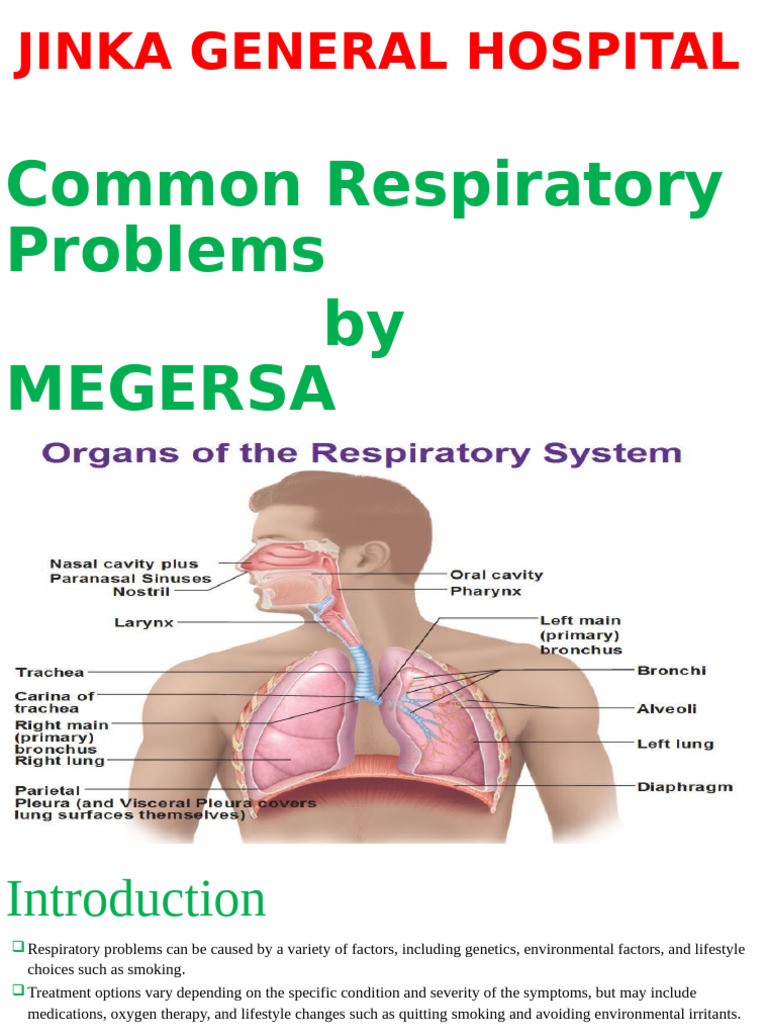 Common Respiratory Issues Explained | PDF | Asthma | Respiratory Diseases