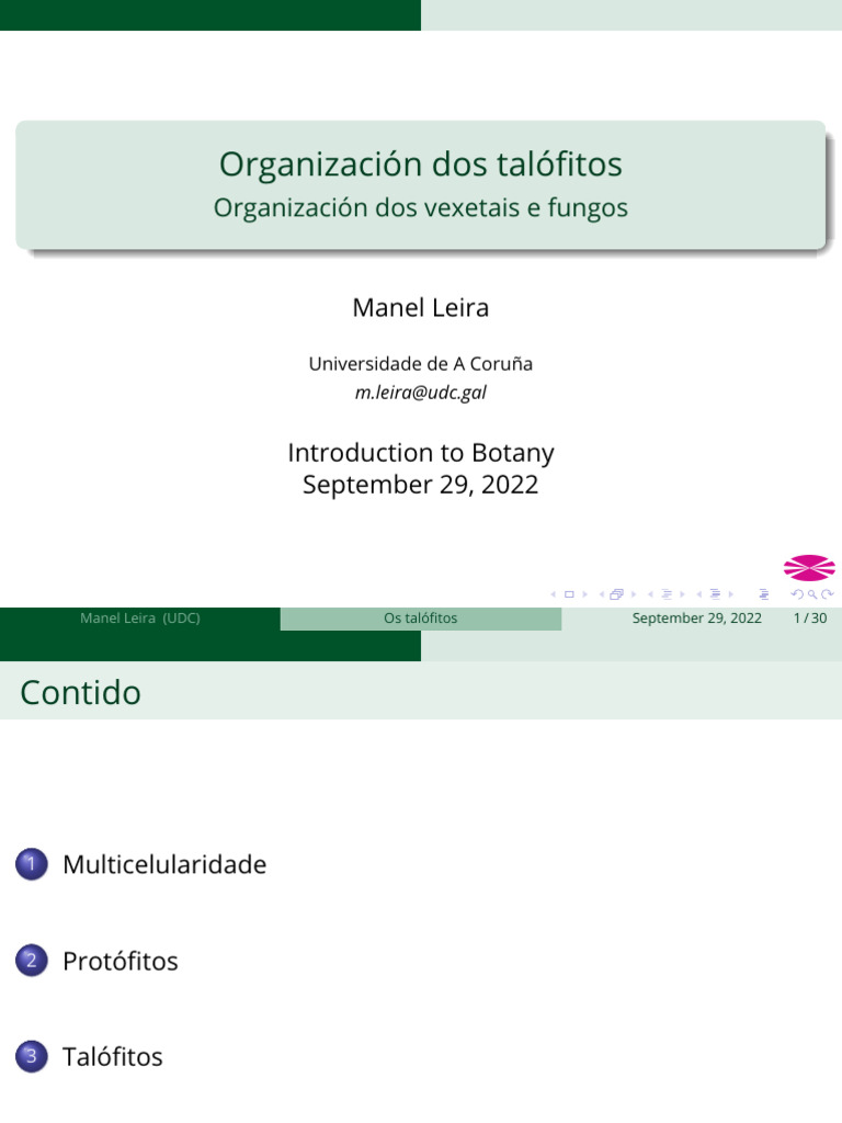 Tema 5. Organización Dos Talófitos. | PDF