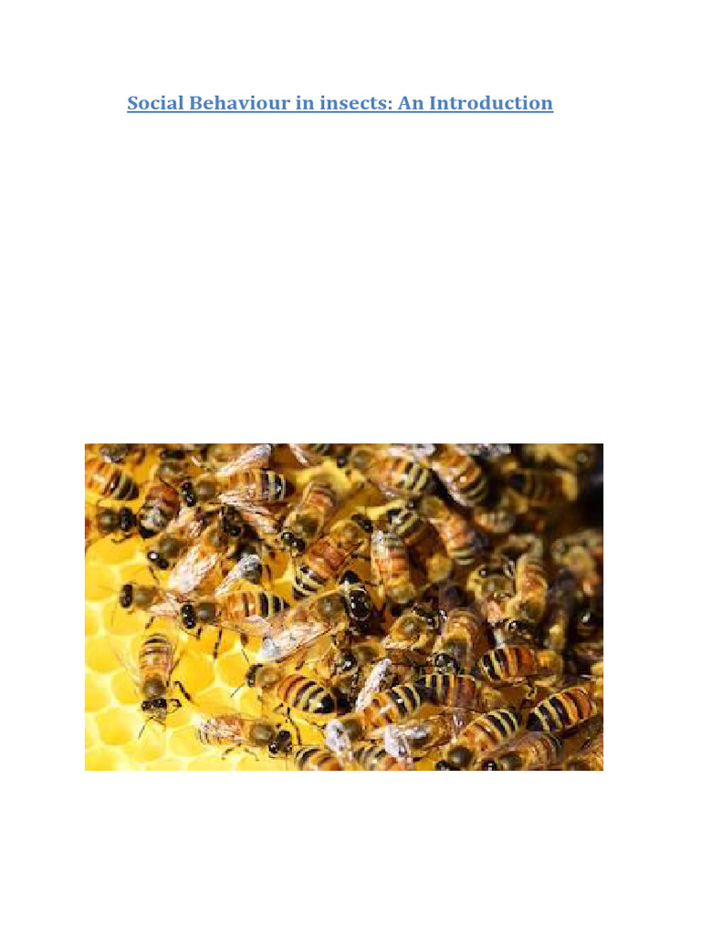 Social Behavior in Insects Explained | PDF