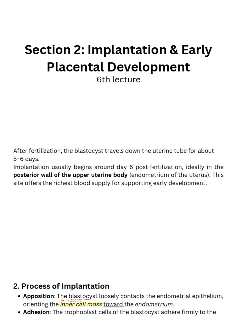 Section 2 Implantation - Early Placental Development | PDF | Placenta ...
