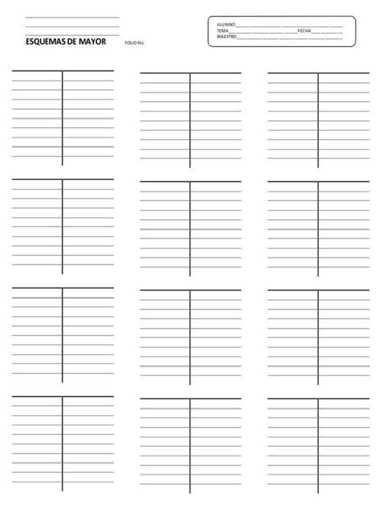 Formato Esquema de Mayor | PDF