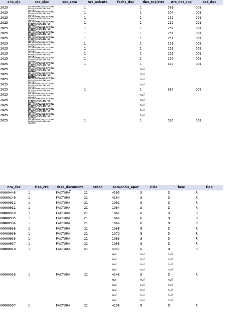 RPT Libro Auxiliar Estandar 20250812150958 | PDF