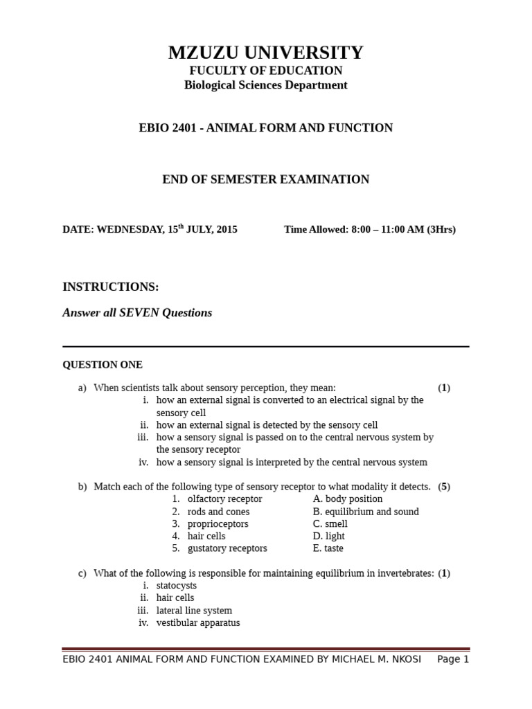 Animal Form and Function Exam Guide | PDF | Digestion | Senses
