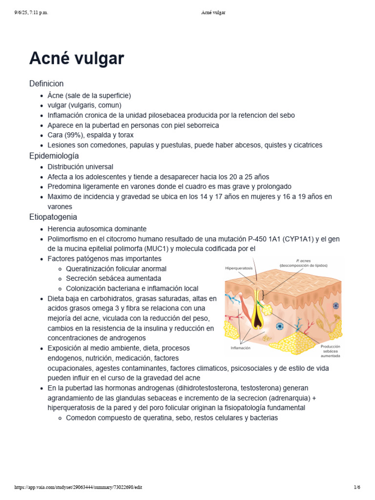 Guía Completa sobre Acné Vulgar | PDF | Especialidades Medicas