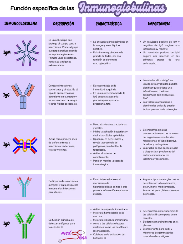 Funciones Específicas De Las Inmunoglobulinas Pdf Sistema Inmune