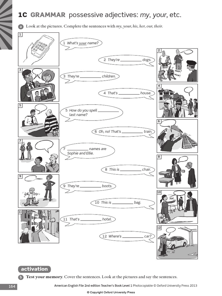 Possessive Adjectives Grammar - 1C | PDF | Syntax | Language Families