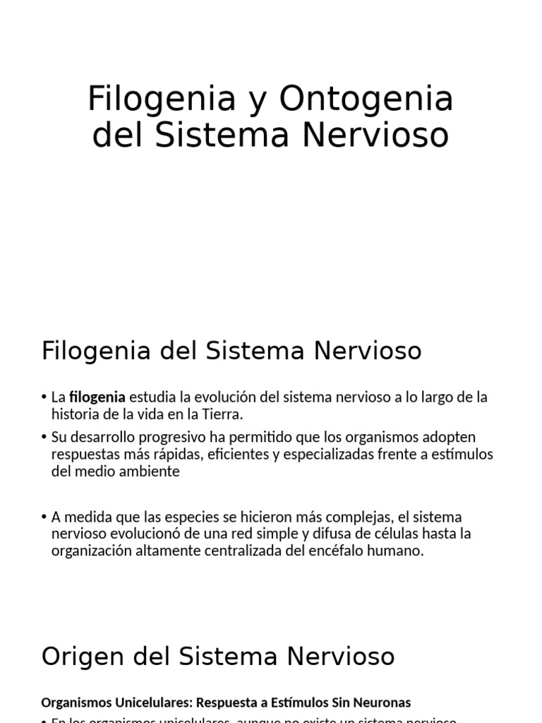 Filogenia y Ontogenia Del Sistema Nervioso | PDF | Sistema nervioso ...