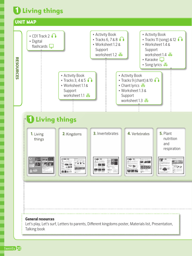 Living Things English Lesson | PDF | Invertebrate | Plants