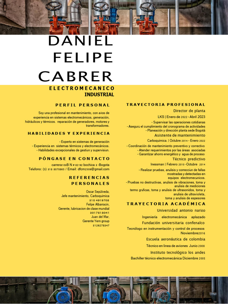 CV Daniel Felipe | PDF