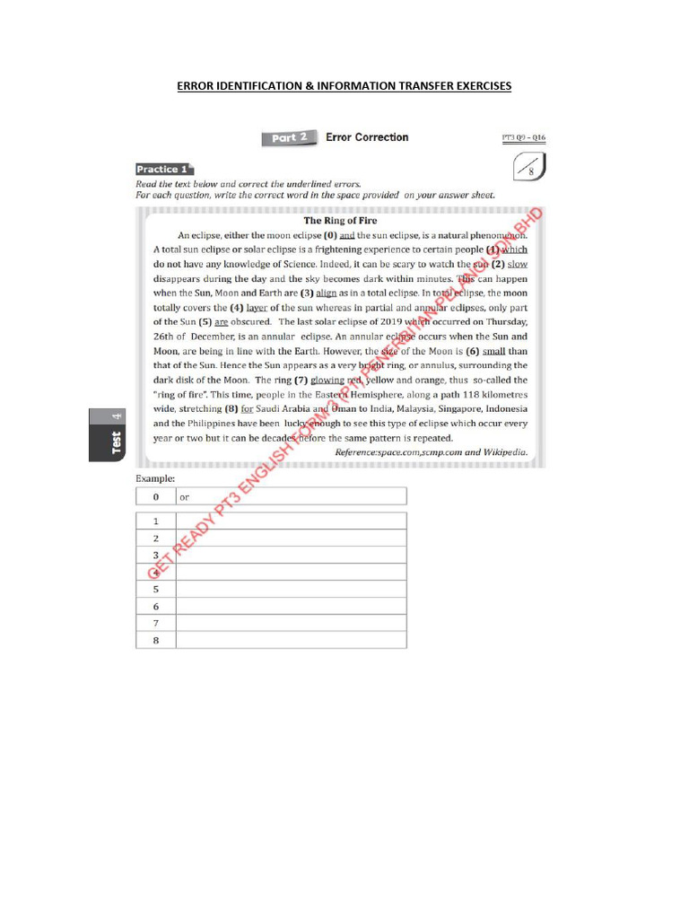 Error Identification & Information Transfer Exercises | PDF