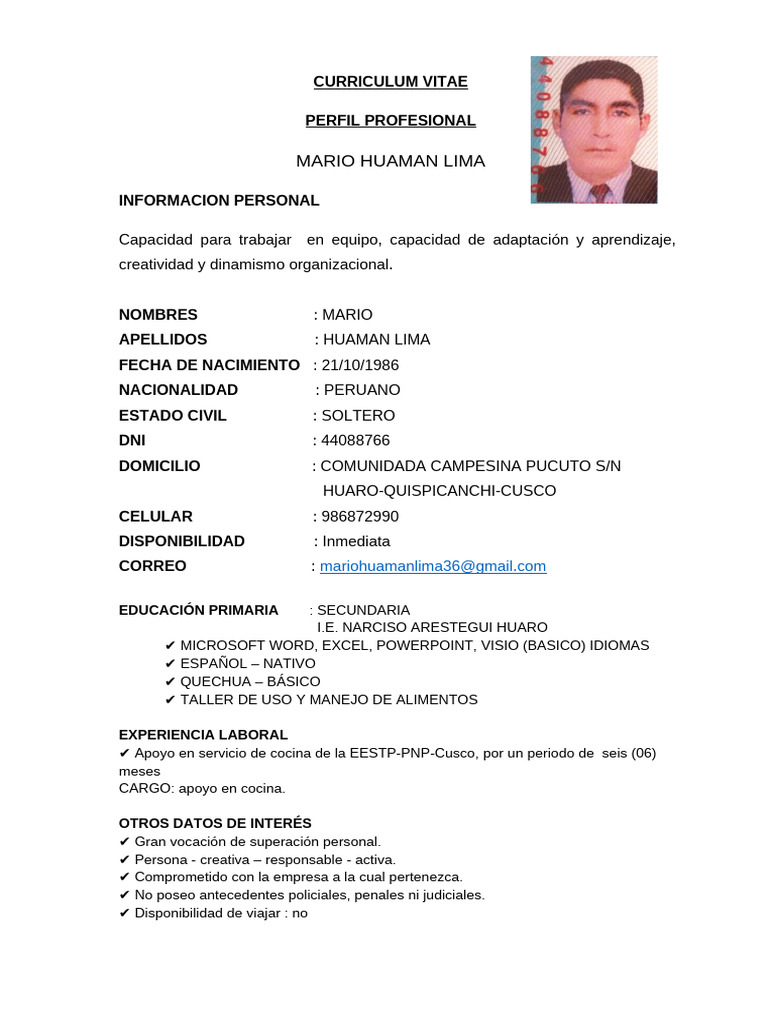 CV de Mario Huaman Lima | PDF