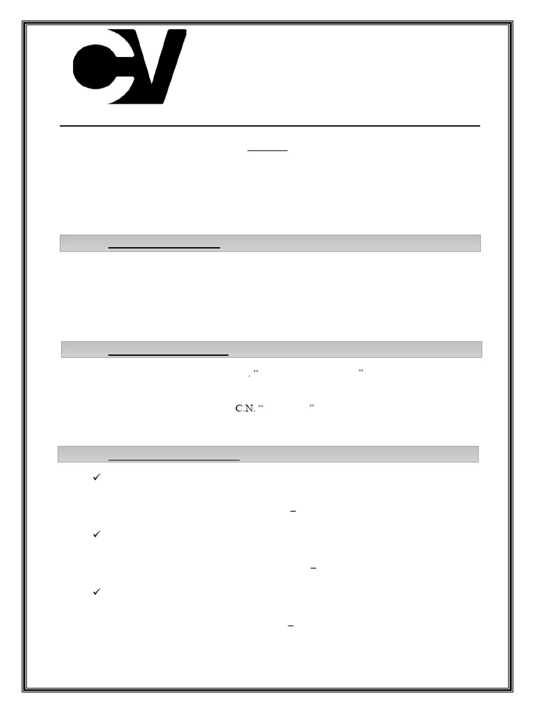 CV Diego Nicolas Castilloravello | PDF