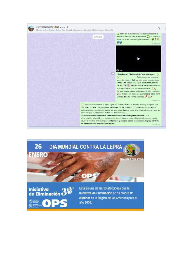Folletos de PyP | PDF
