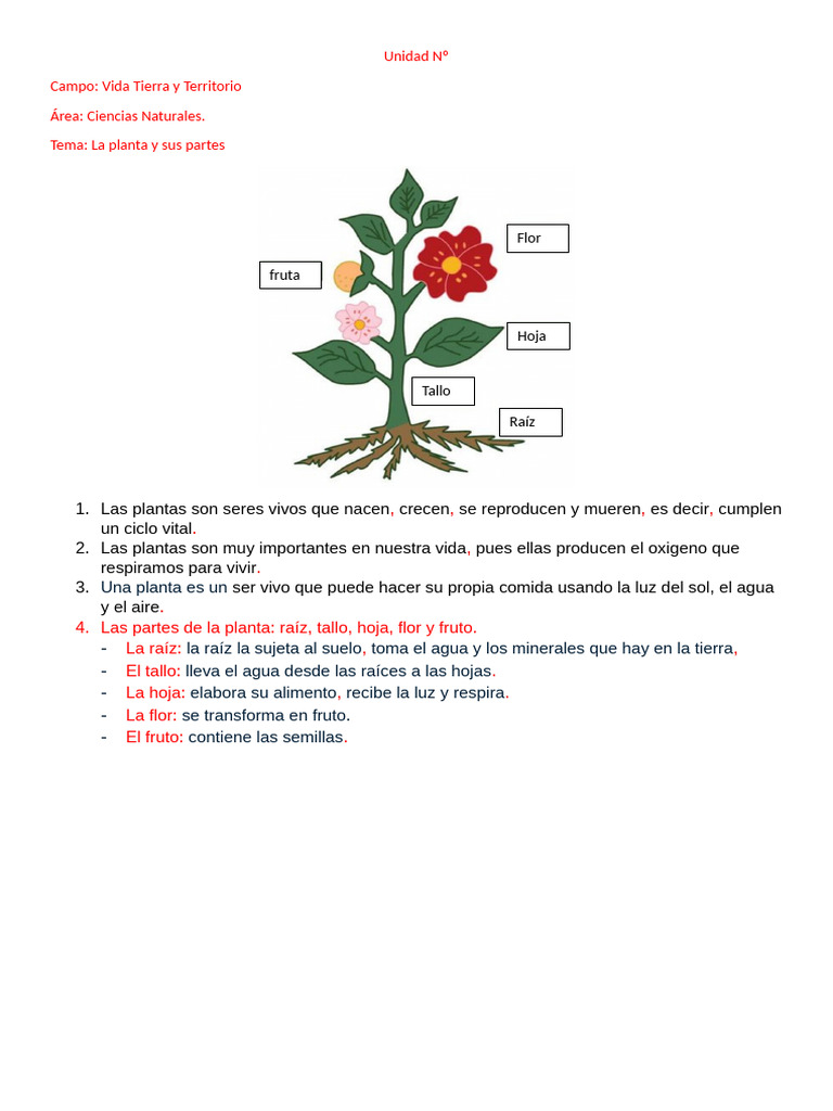 Partes y hábitats de las plantas | PDF