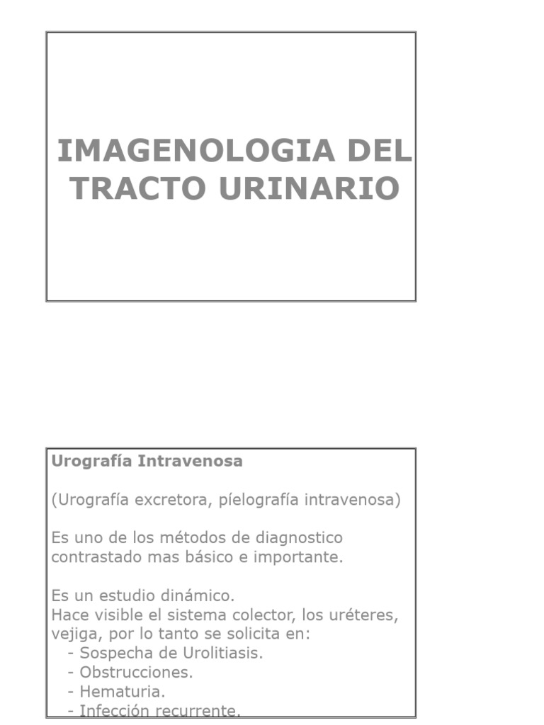 Urografía y Ecografía del Tracto Urinario | PDF | Infección del tracto ...