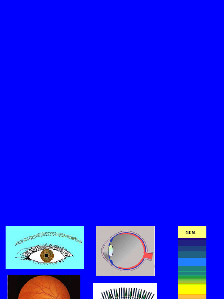 Visión - Conferencia 5 | PDF | Percepción visual | Ojo humano