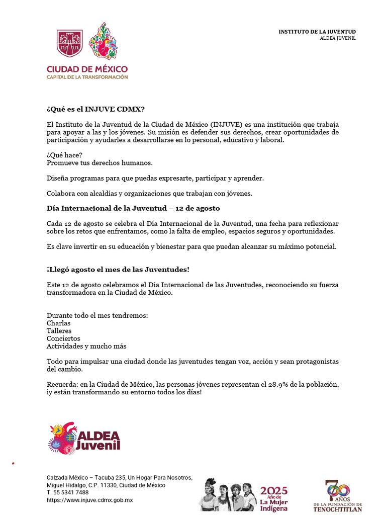 Funciones del INJUVE en CDMX | PDF