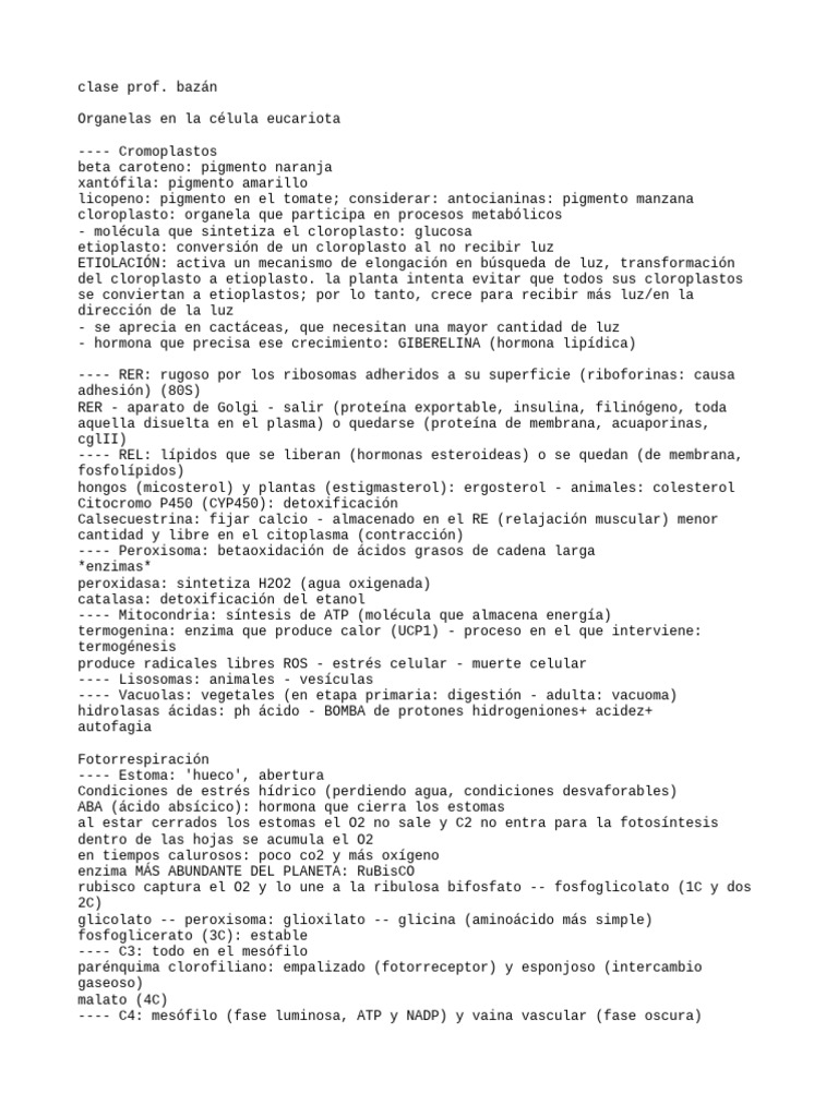 Transcripción prep OPB 2024 | PDF | Lípido | Cloroplasto