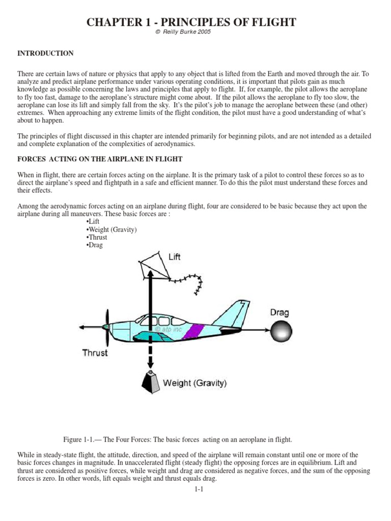 Principles of Flight 1 | PDF | Lift (Force) | Aileron